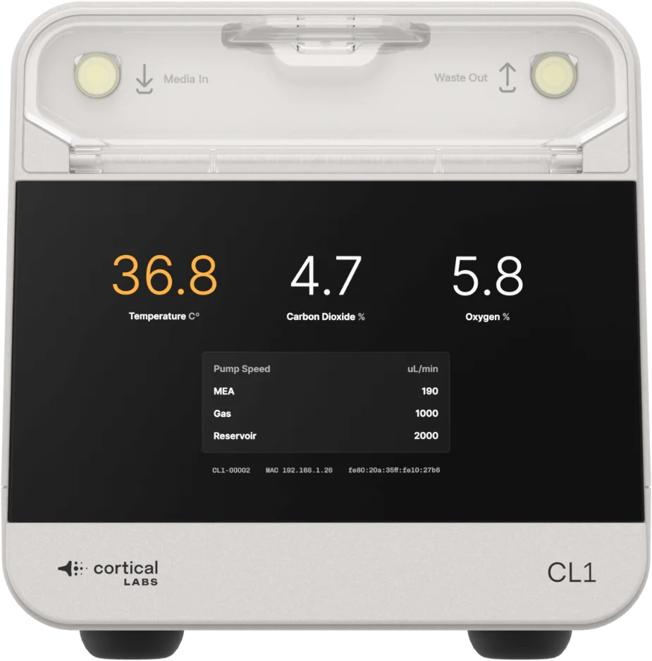 CL1: primeiro computador biológico combina neurônios humanos e silício ...